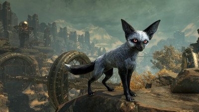 Dusky Fennec Fox - ESO Hub - Elder Scrolls Online