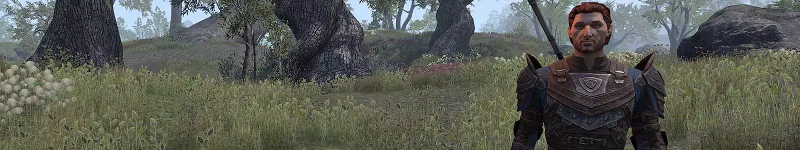 ESO Companions System - Powerful Companions - ESO Hub - Elder Scrolls ...