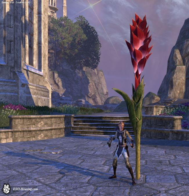 Garlas Alpinia, Tall - ESO Hub - Elder Scrolls Online