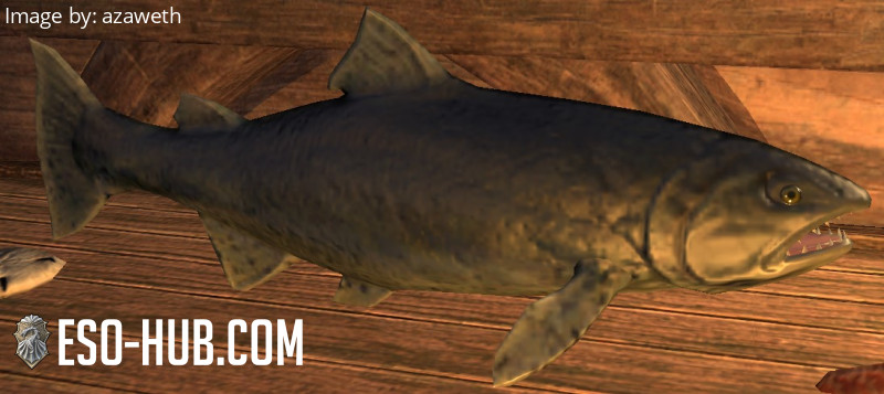 Fish, Black Marsh - ESO Hub - Elder Scrolls Online