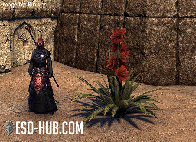 Flower, Grandmother Hibiscus - ESO Hub - Elder Scrolls Online